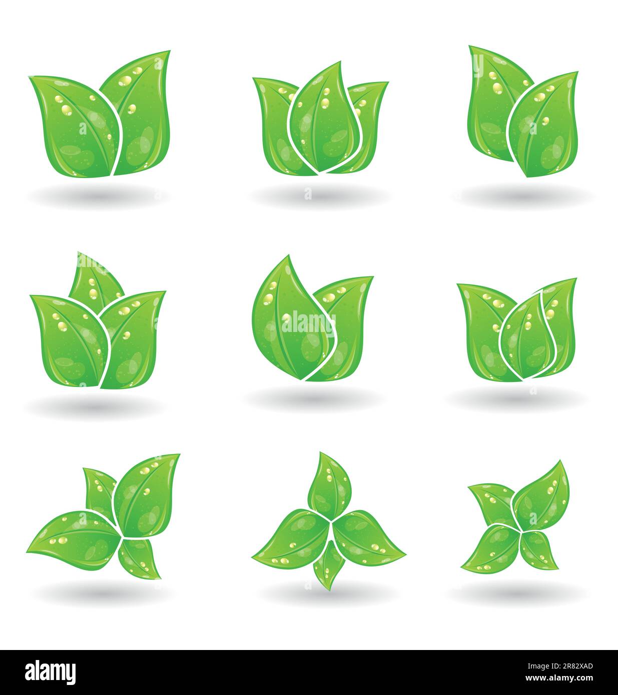 Illustration set of green eco leaves isolated on white background ...