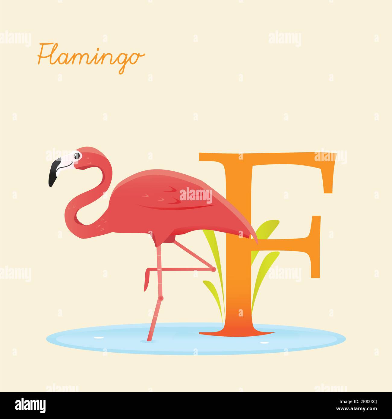 Animal alphabet with flamingo, vector illustration Stock Vector Image ...