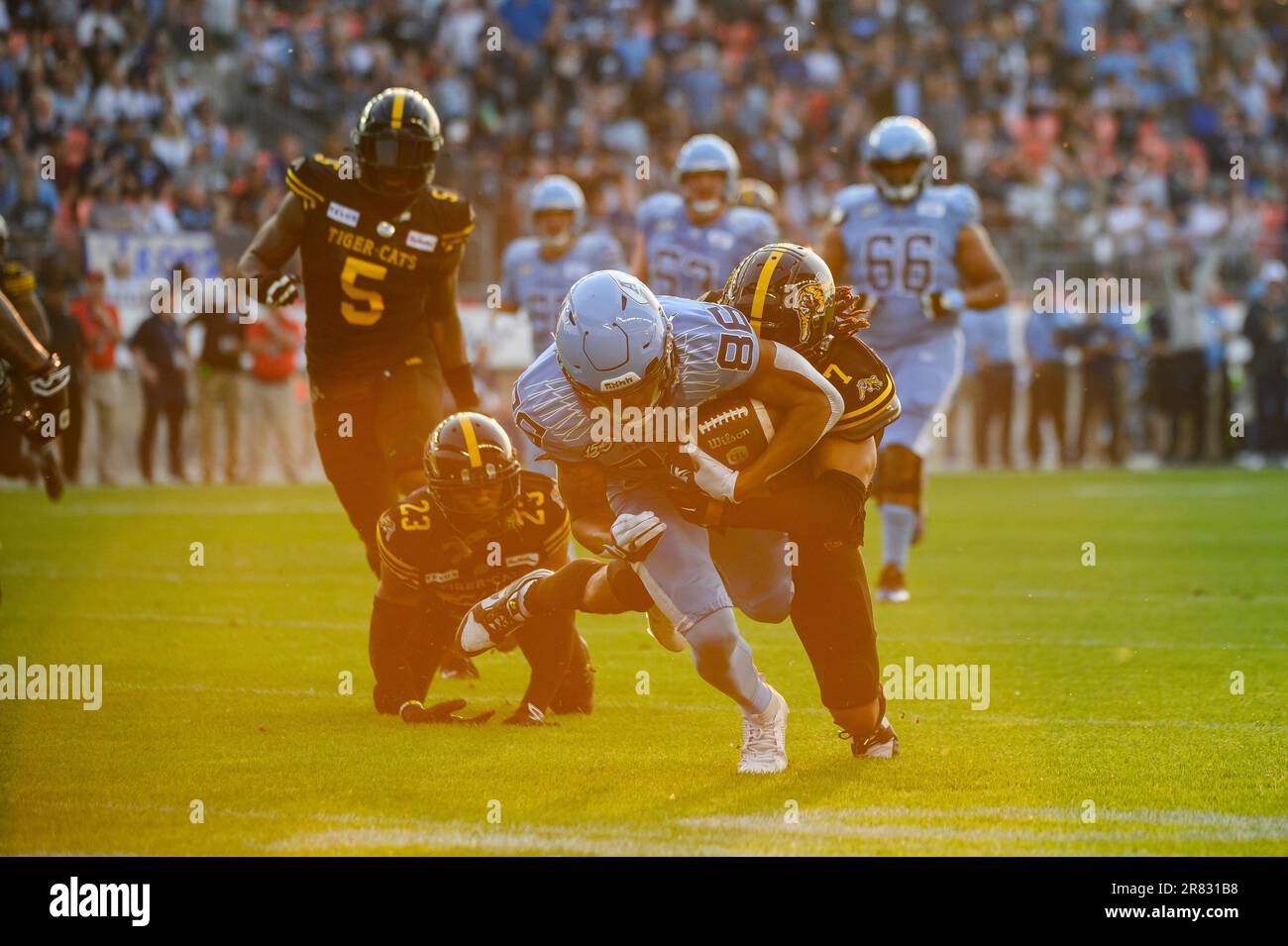 Toronto, Canada. 18th June, 2023. June 18, 2023, Toronto, ON, Canada ...