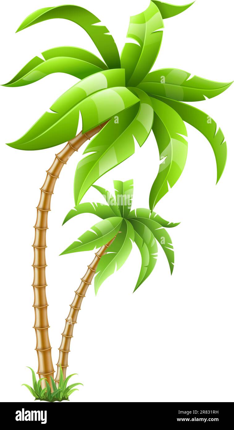two tropical palms isolated on white background. Vector illustration ...