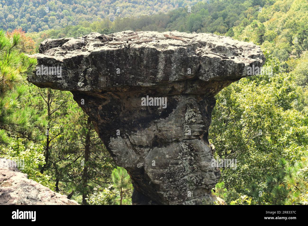 A view of one of the Pedestal Rocks in the Pedestal Rocks Scenic Area ...