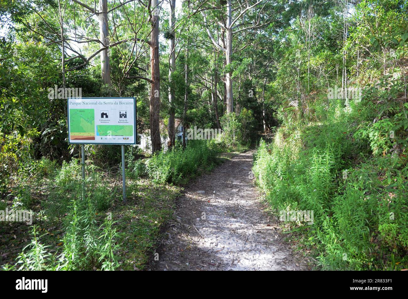 Gold Trail with its historical pavement made by slaves in the ...