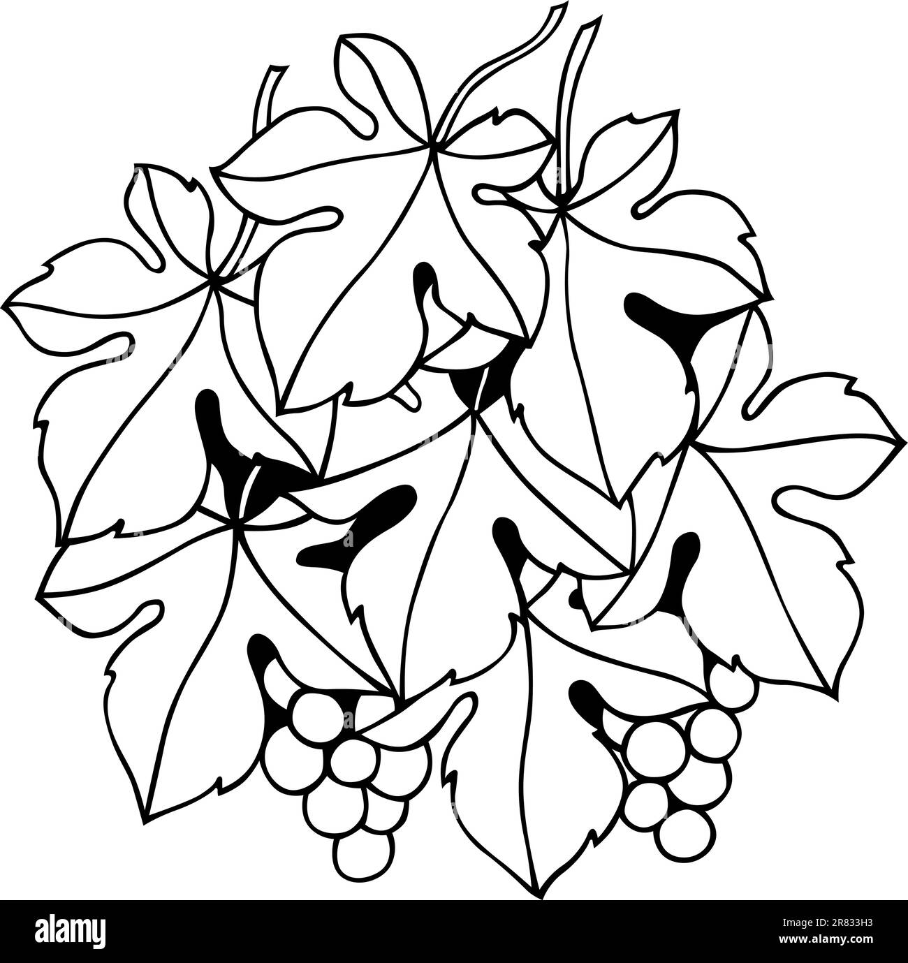 Vine photography Stock Vector Images - Alamy