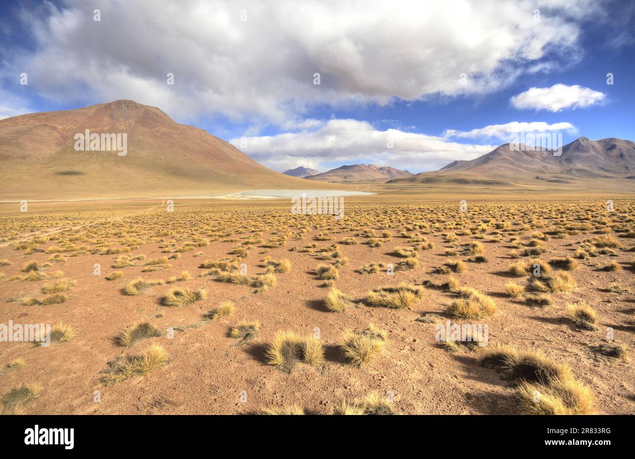 Eduardo Alveroa, Uyuni Bolivia Stock Photo - Alamy