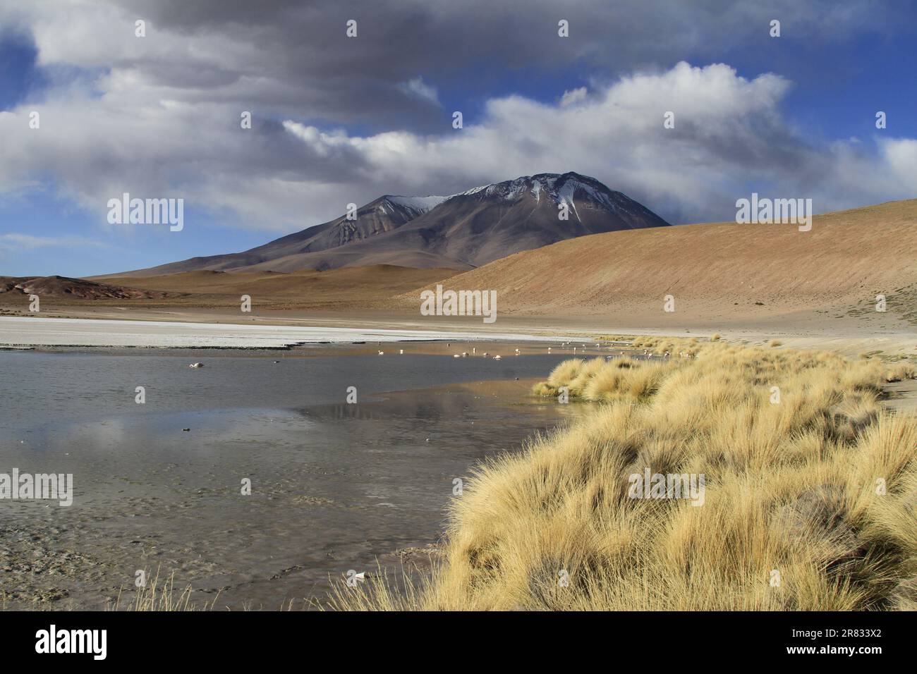 Eduardo Alveroa, Uyuni Bolivia Stock Photo - Alamy