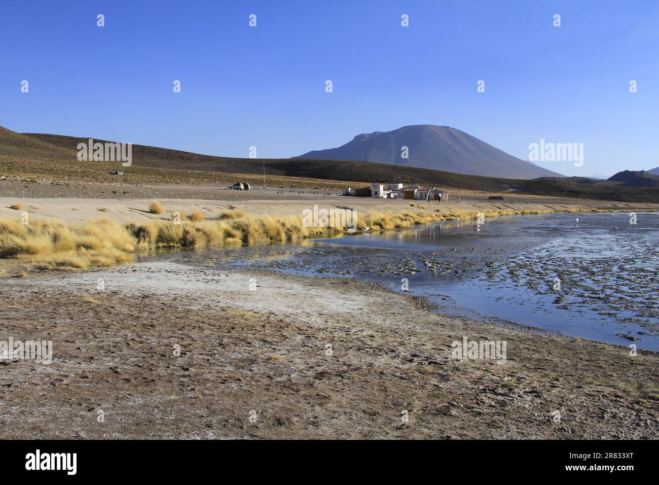 Eduardo Alveroa, Uyuni Bolivia Stock Photo - Alamy