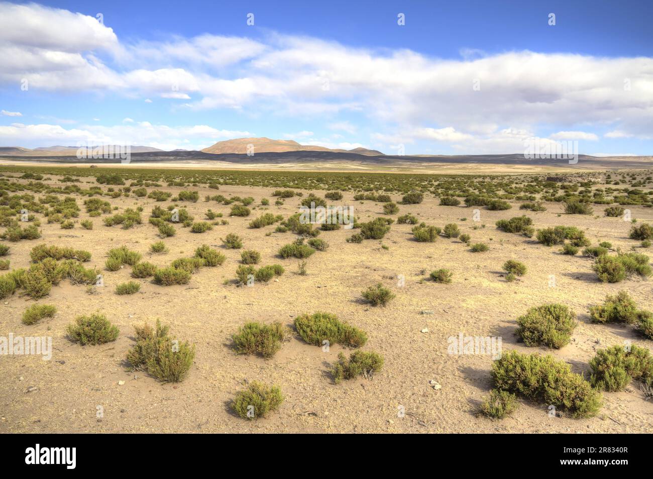 Alveroa hi-res stock photography and images - Alamy
