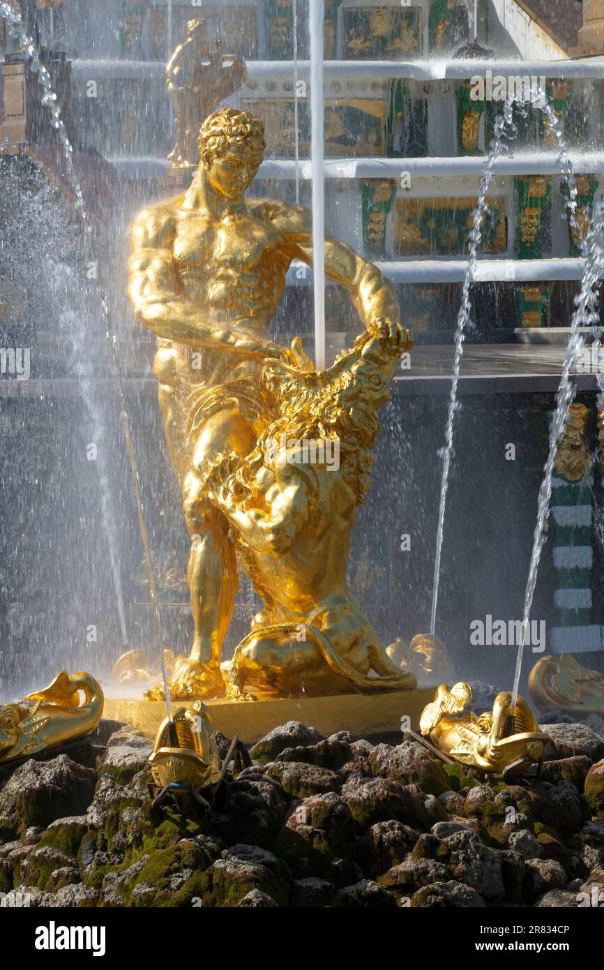 PETRODVORETS, RUSSIA - MAY 11, 2023: Sculpture of Samson tearing the ...