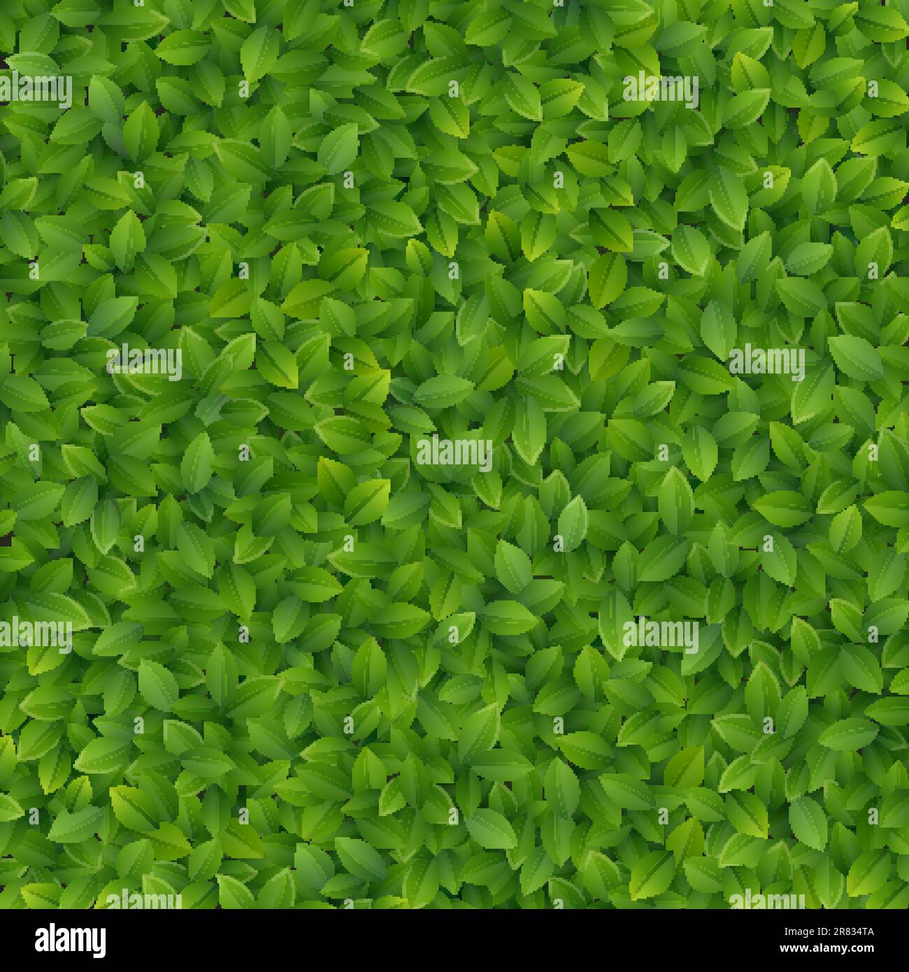 Green leaves texture. Vector illustration Stock Vector Image & Art - Alamy