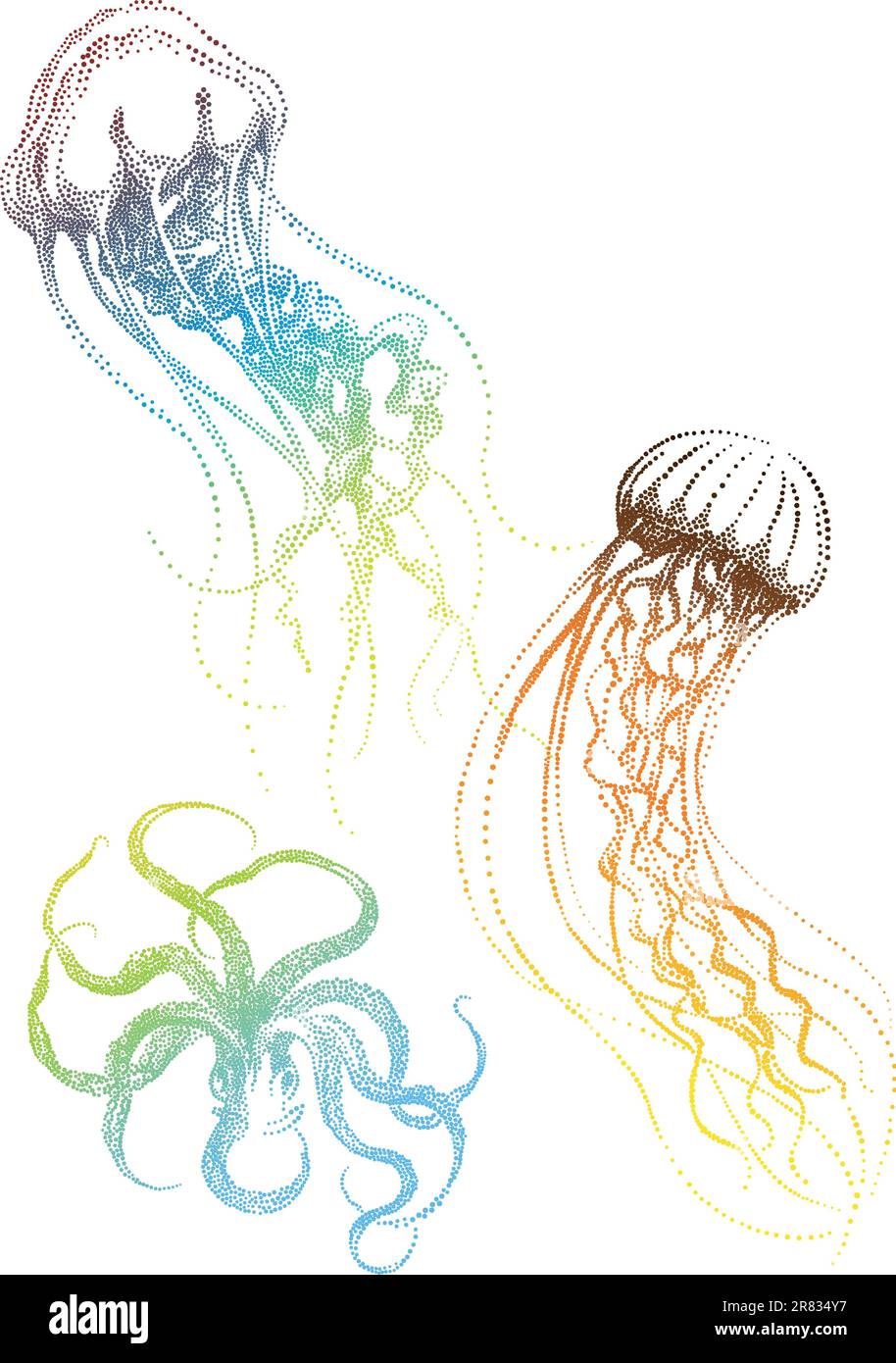 colorful jellyfish and octopus, vector illustration Stock Vector Image ...