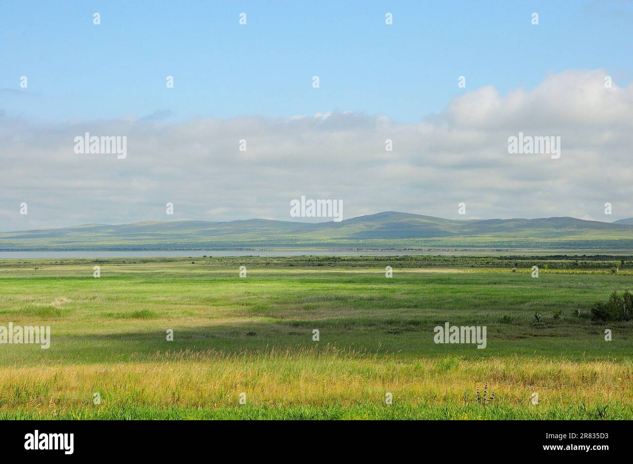 Boundless steppe hi-res stock photography and images - Alamy