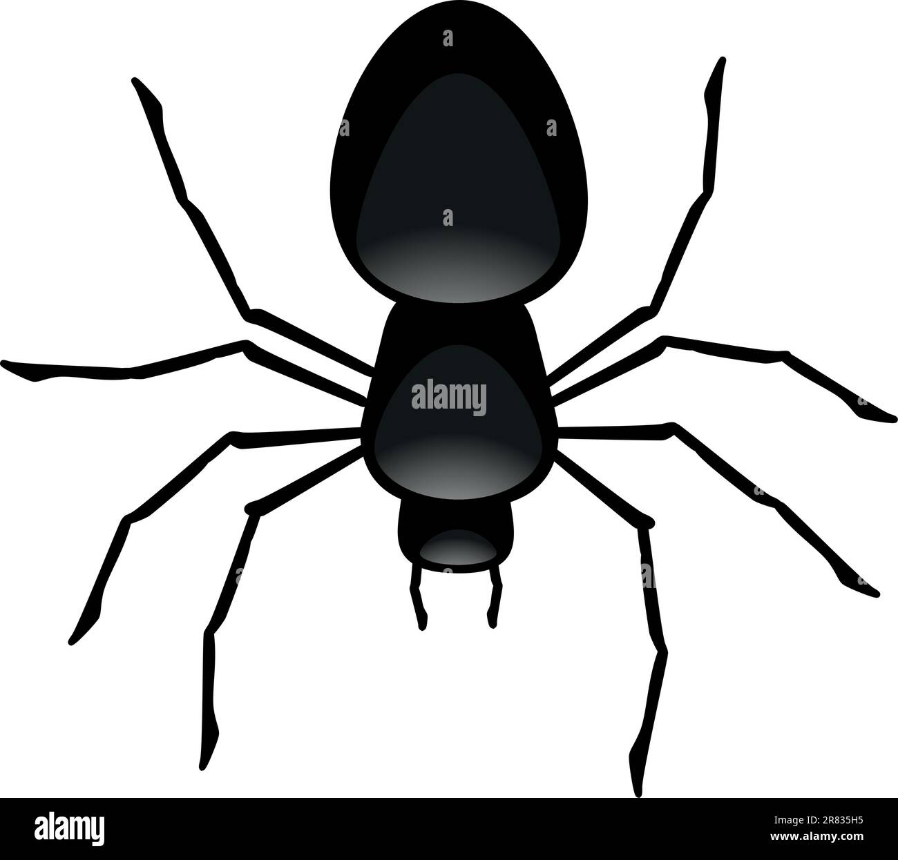 illustration of a black spider, symbol for poison and halloween Stock ...