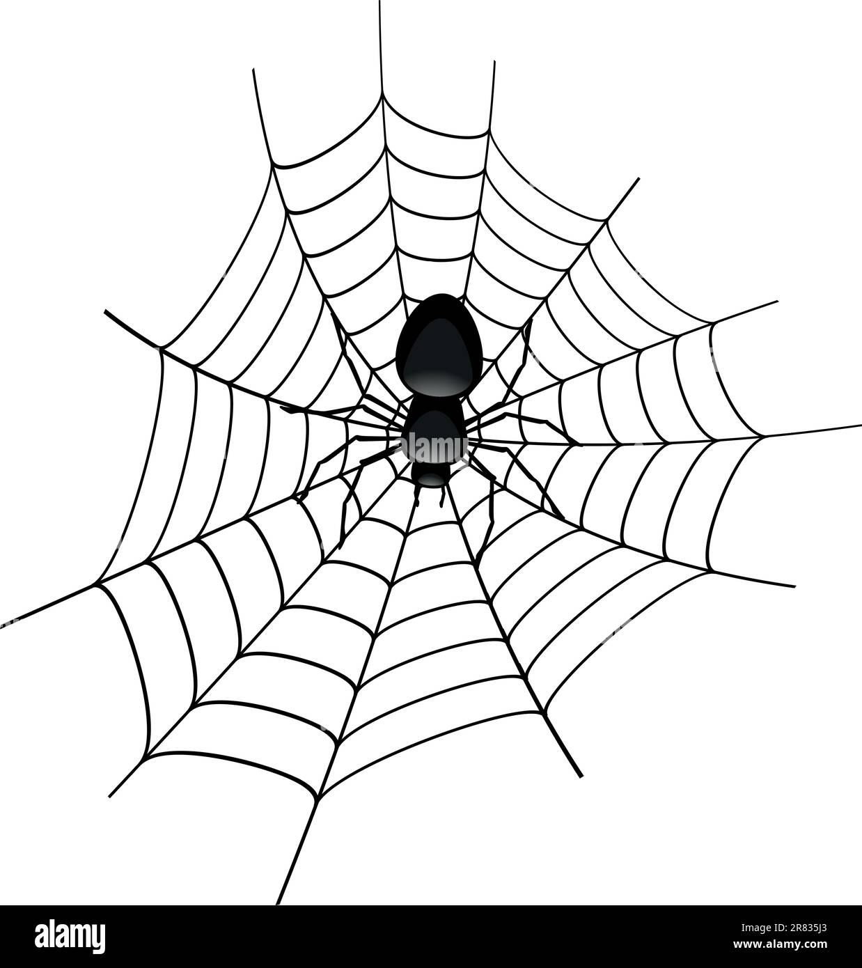 illustration of a spider in a cobweb Stock Vector Image & Art - Alamy