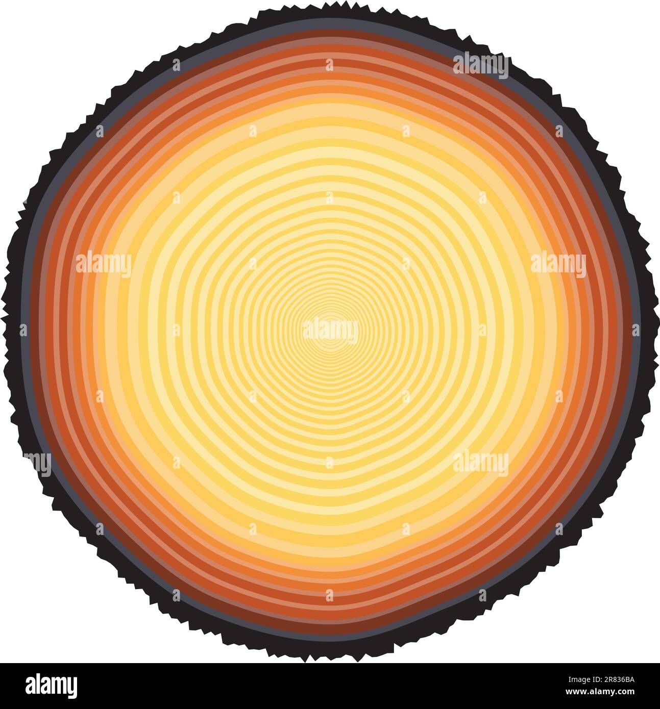 Editable vector illustration of tree rings on a 67-year-old tree stump ...