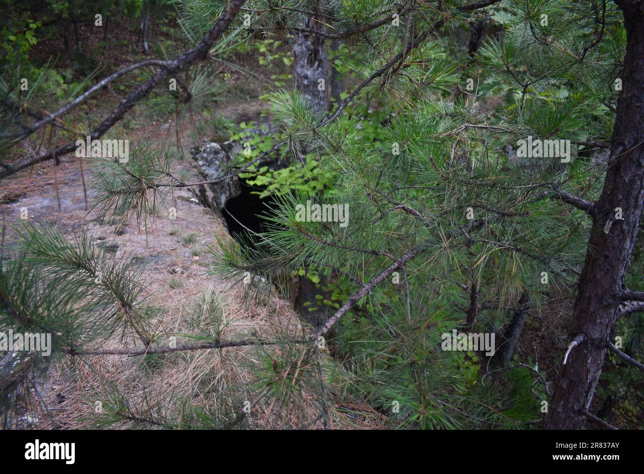 Some of the bluffs, cliffs, scenic views, at Pedestal Rocks, Pelsor ...