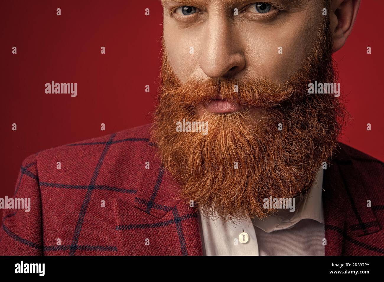 face of unshaven man with mustache in studio. cropped view of unshaven ...