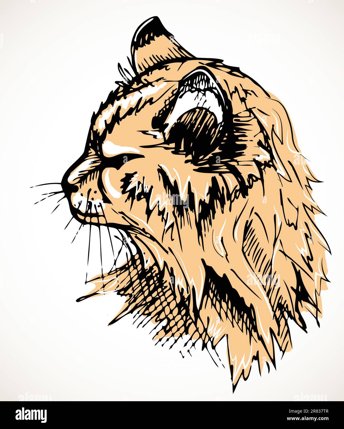 Side view portrait white Stock Vector Images - Alamy