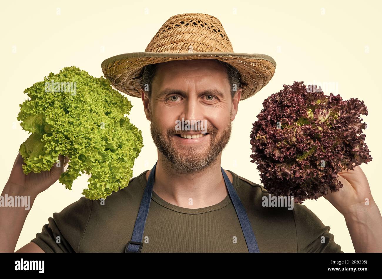 farmer in hat with lettuce vegetable isolated on white Stock Photo - Alamy