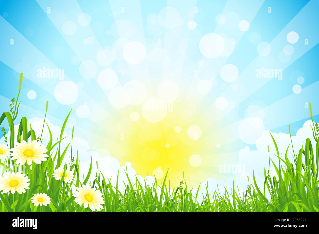 Green Summer Background with Sun Grass Clouds and Flowers Stock Vector ...