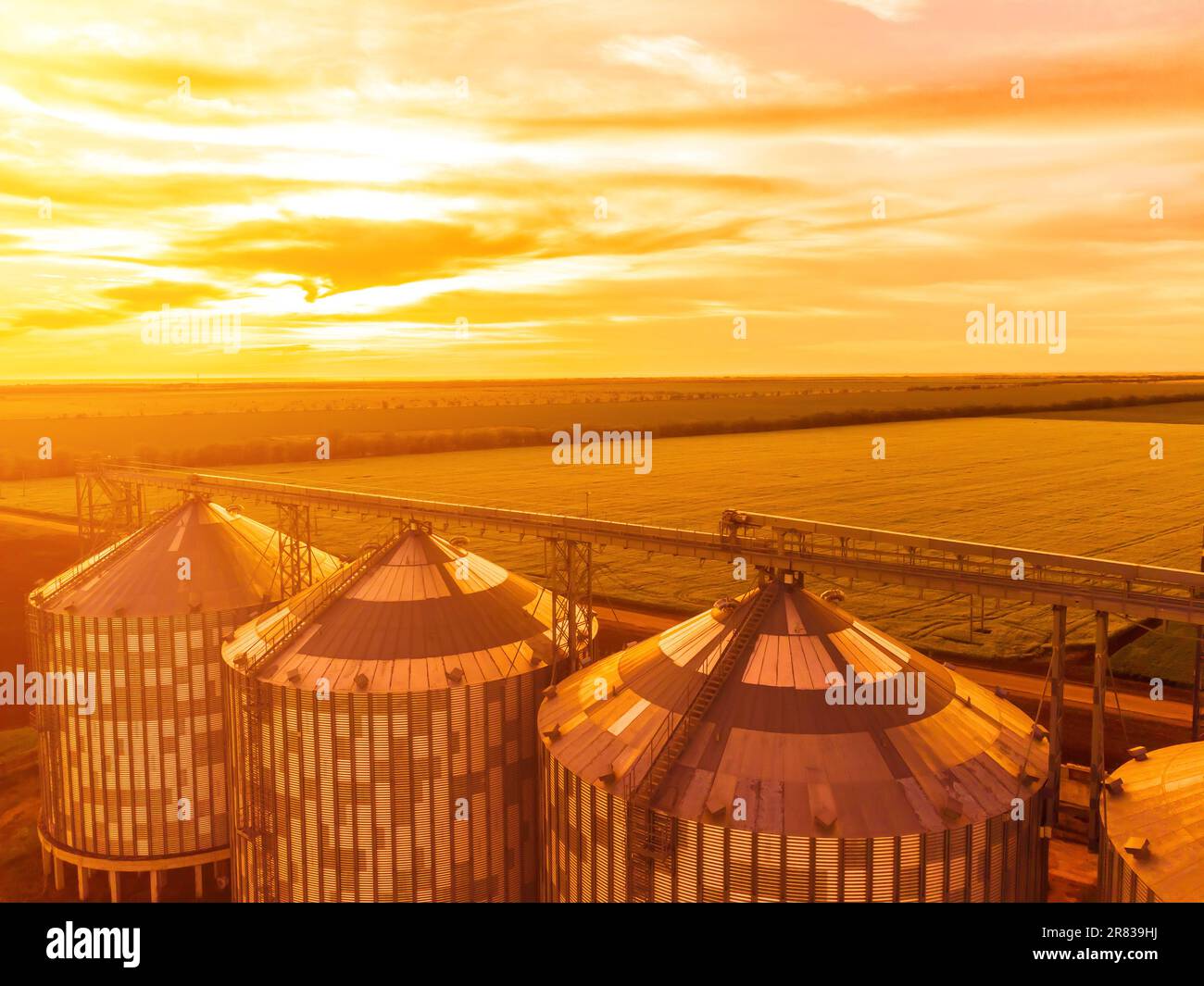 Grain silos on a green field background with warm sunset light. Grain ...