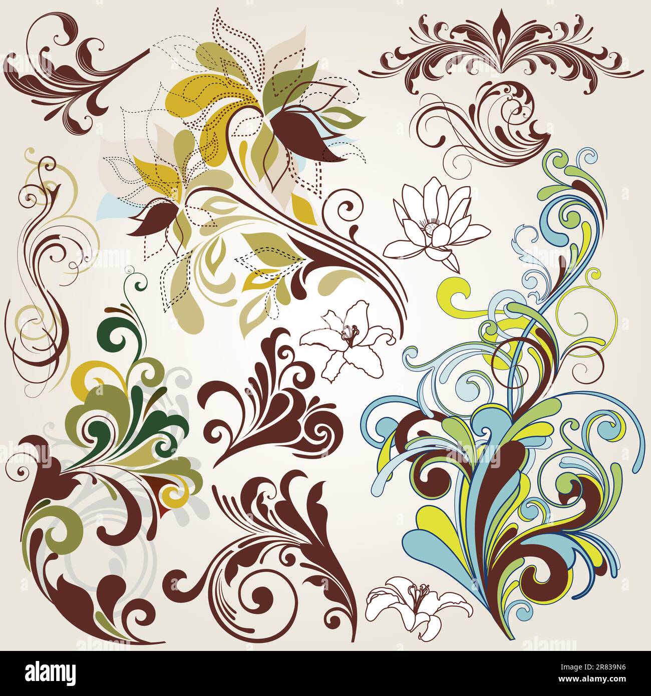 illustration drawing of floral design elements Stock Vector Image & Art ...