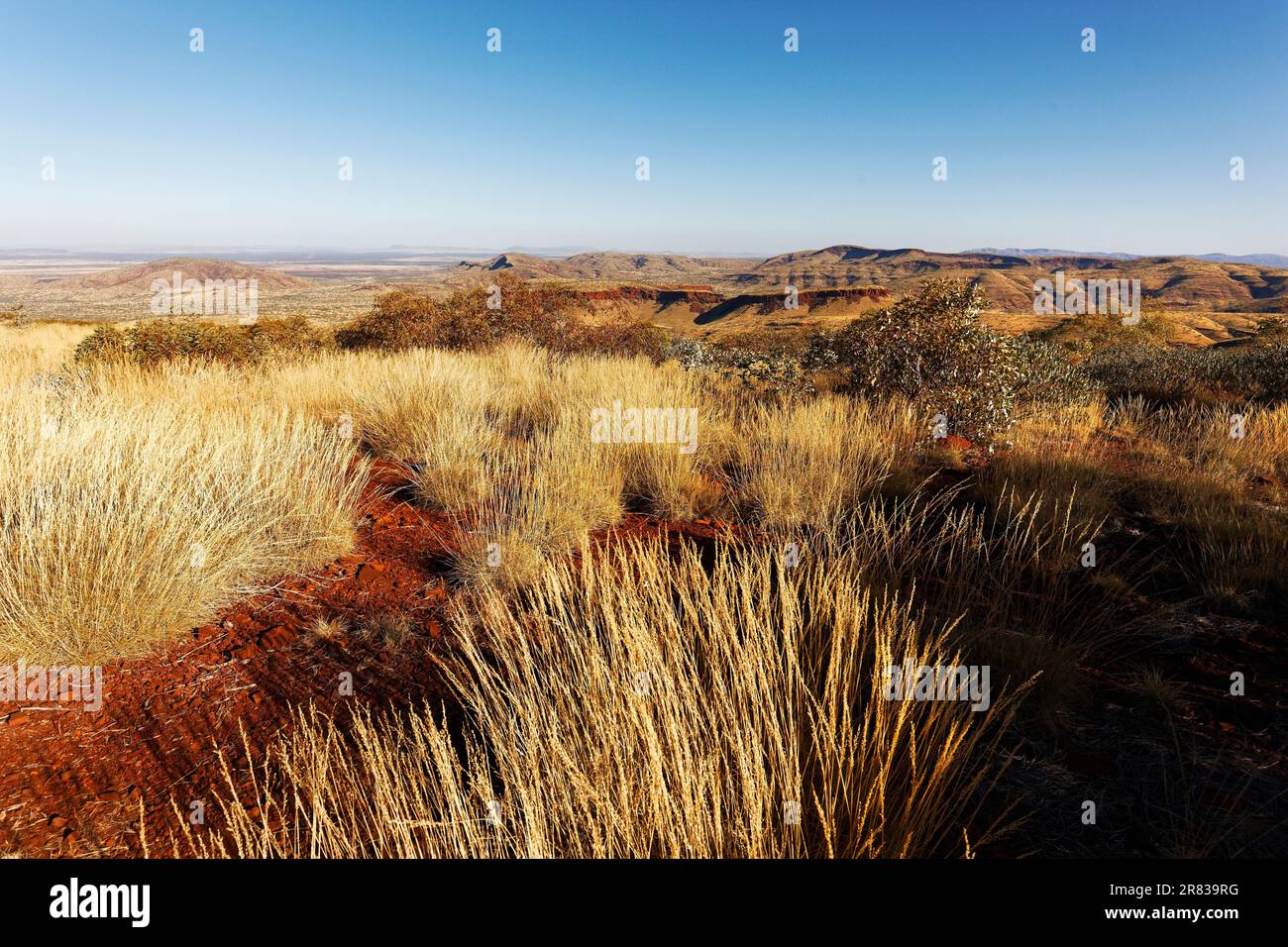 Vastness of the Pilbara landscape seen from Mount Sheila, Western ...