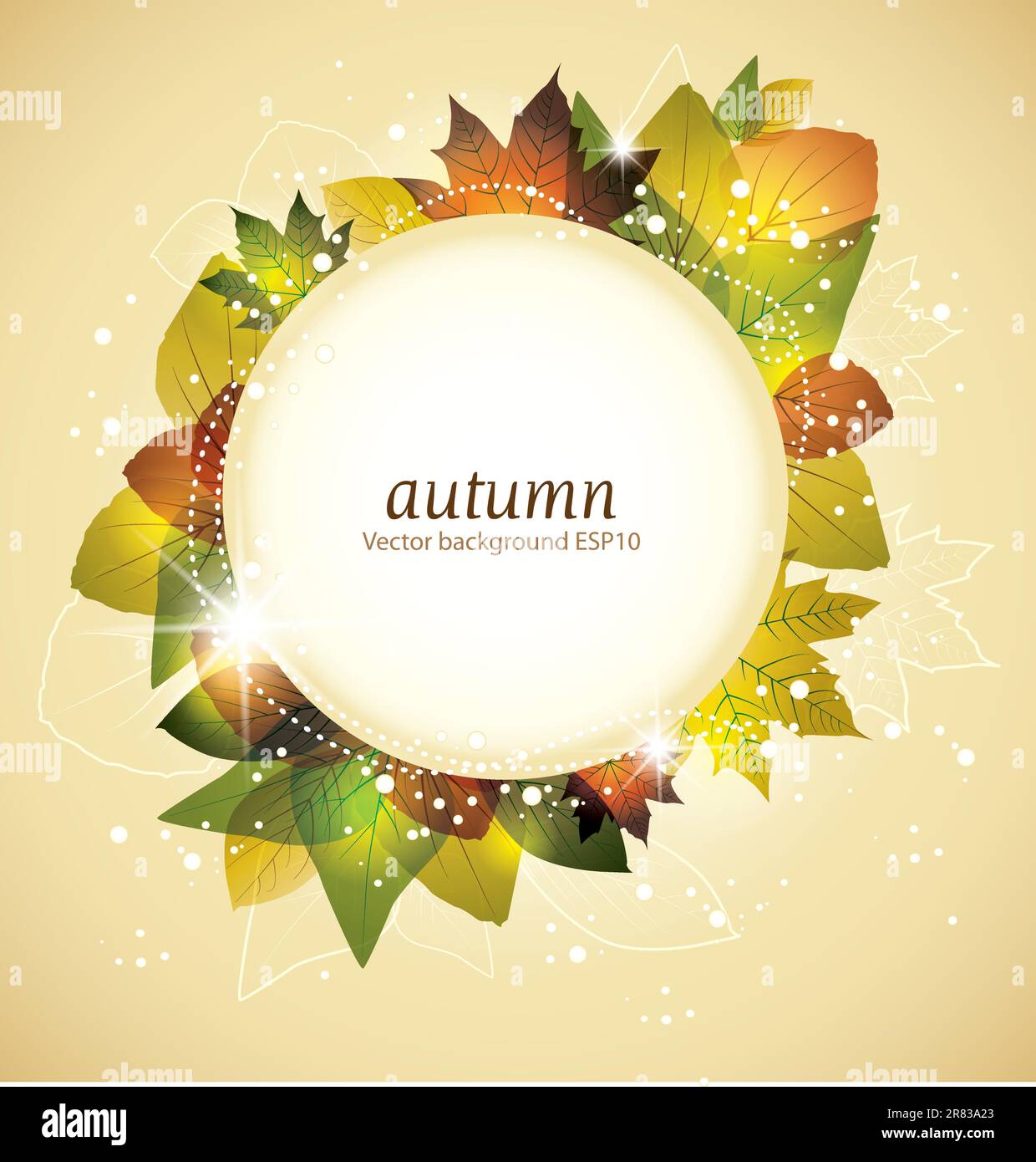 Colorful leaves close up Stock Vector Images - Alamy