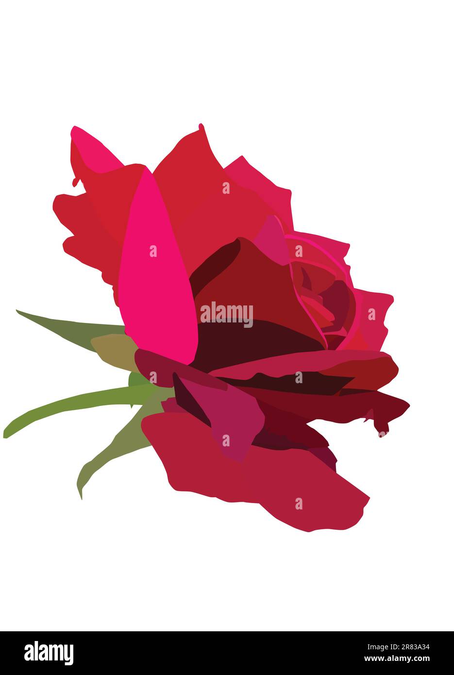 Red rose vector on white background Stock Vector Image & Art - Alamy