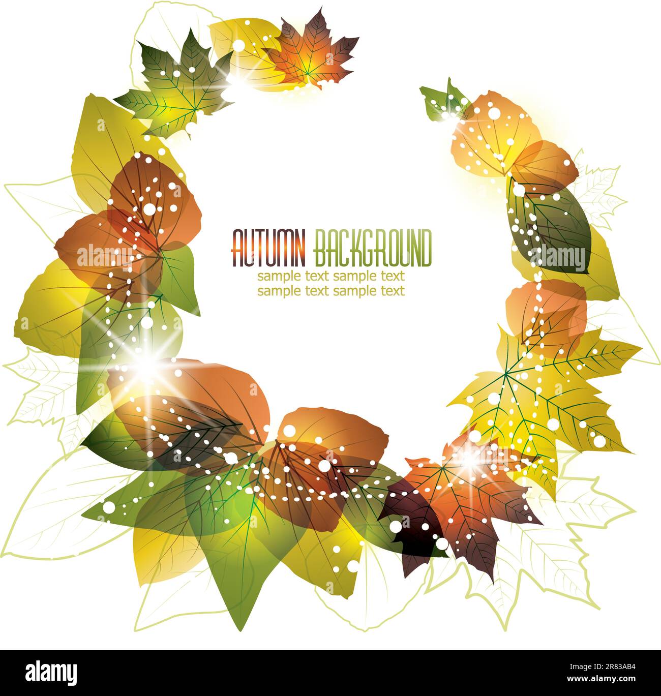autumn leaves on white background Stock Vector Image & Art - Alamy