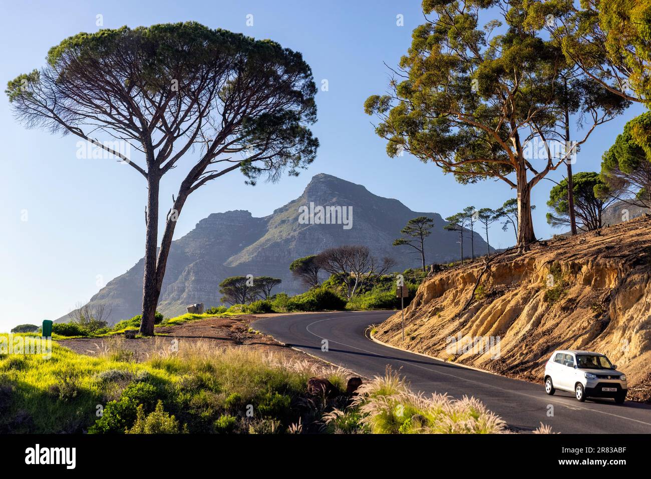 Winding road (Tafelberg Road) to Table Mountain - Cape Town, South ...
