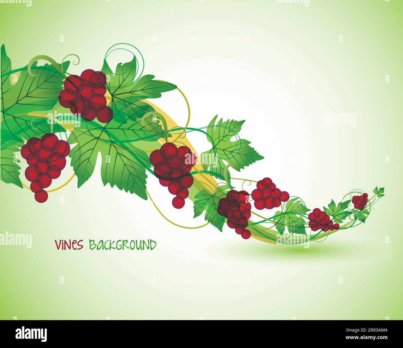 Red wine grapes in Stock Vector Images - Alamy