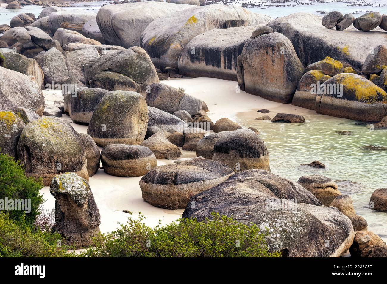 Boulders Beach in Simon's Town, near Cape Town, South Africa Stock ...