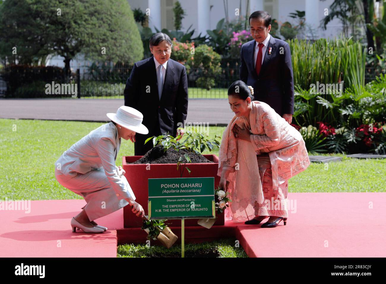 From left to right, Japan's Empress Masako, Emperor Naruhito ...