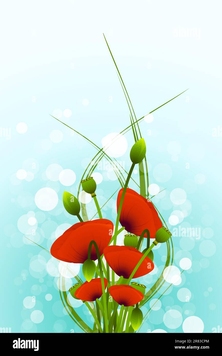 Vibrant red poppy Stock Vector Images - Alamy