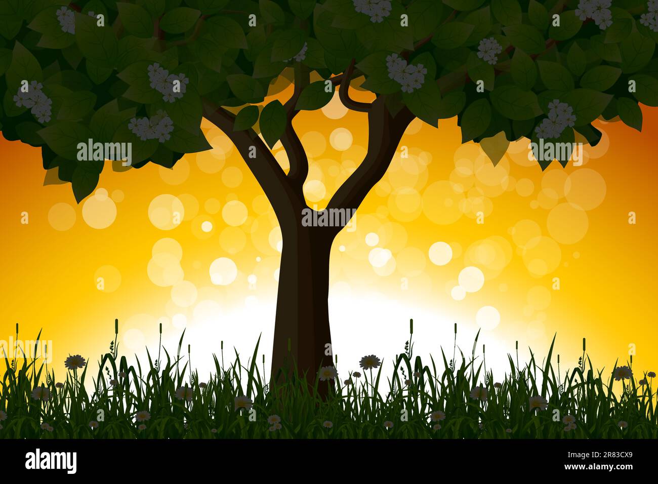 Sunrise with tree Stock Vector Images - Alamy