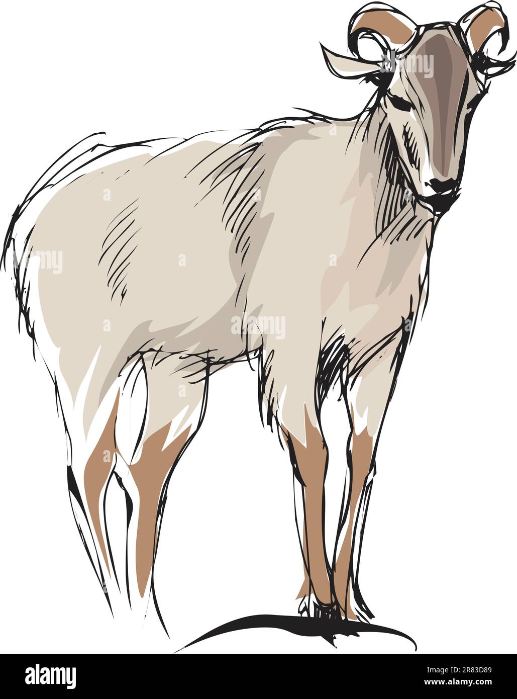 Fur horn Stock Vector Images - Alamy