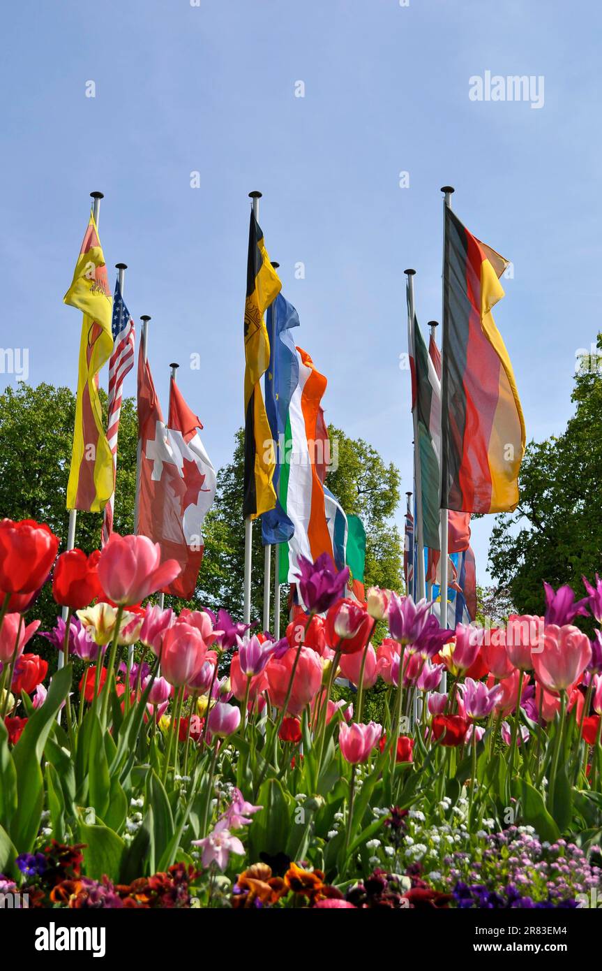 Hotel flags hi-res stock photography and images - Alamy