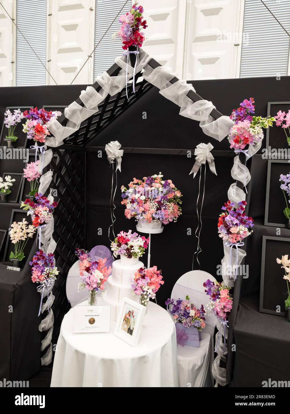 Sweet pea display hi-res stock photography and images - Alamy