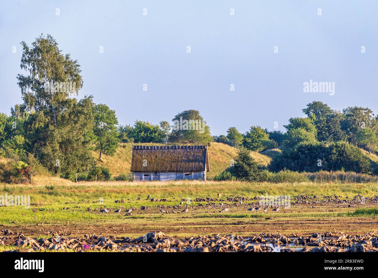Barn with thatched roof on a meadow with hills Stock Photo - Alamy