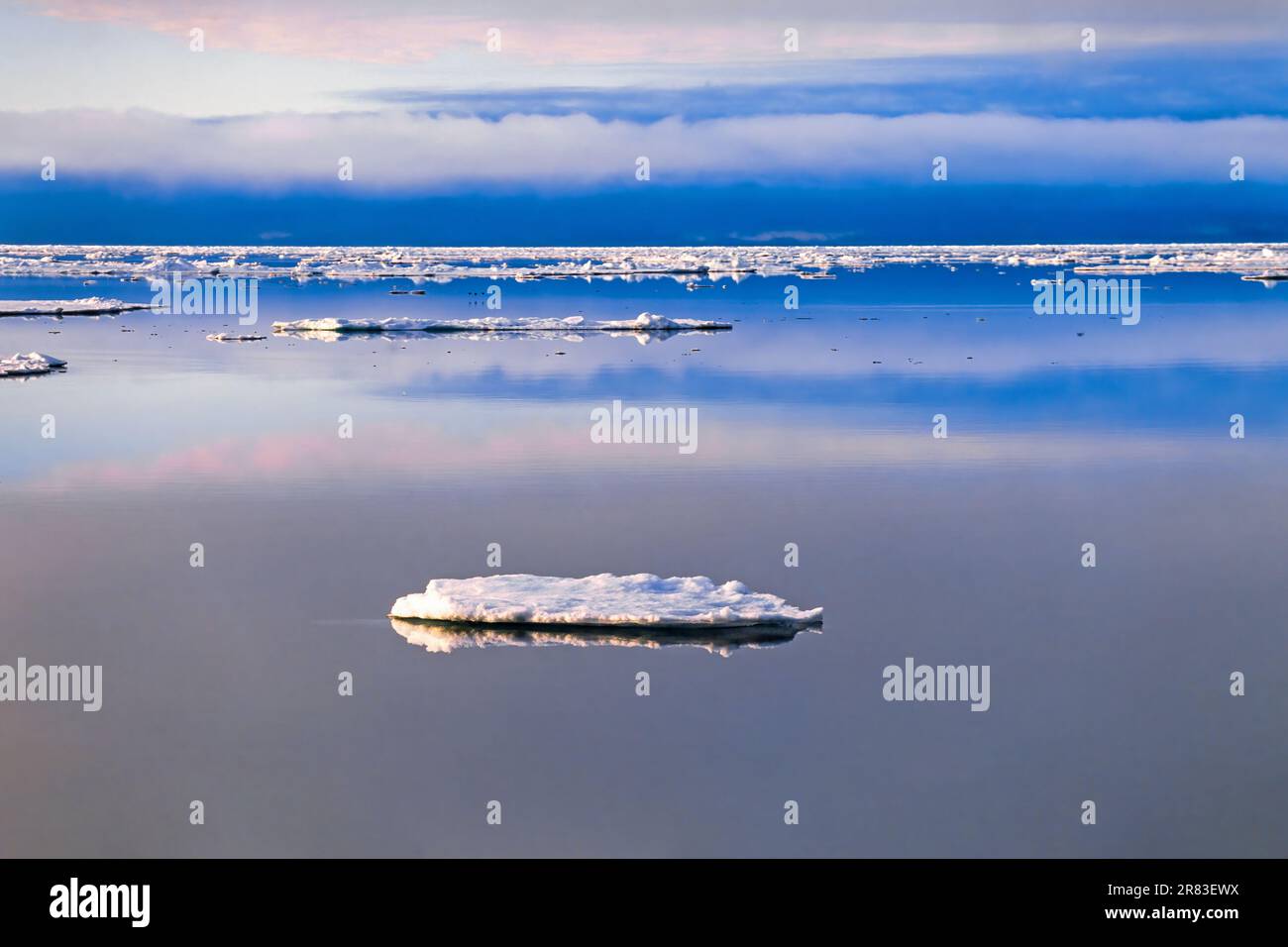 Ice floes floating in the Arctic Ocean Stock Photo - Alamy