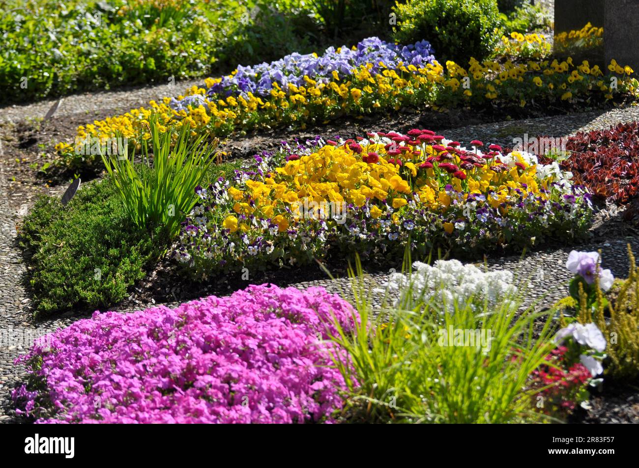 Cemetery with spring flowers hi-res stock photography and images - Alamy
