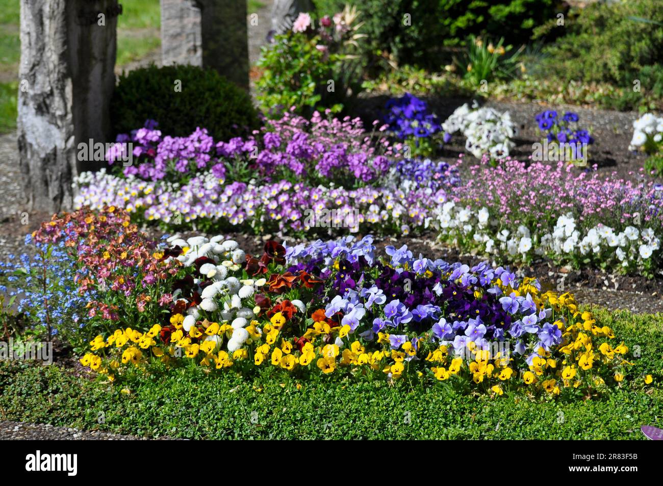 Cemetery, graves in spring, various flowers Stock Photo - Alamy