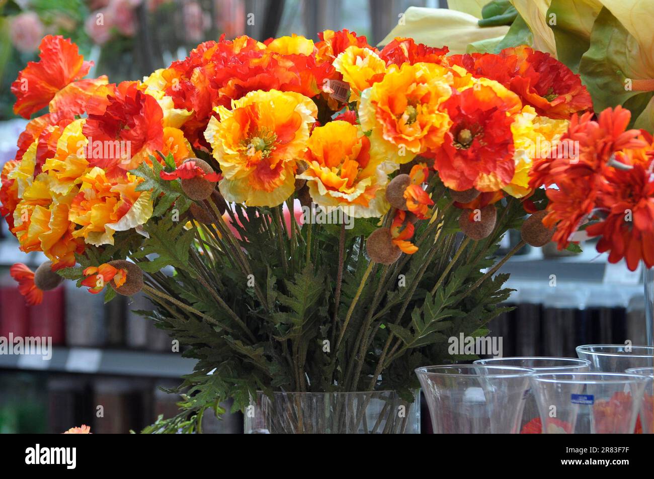 Iceland poppy bouquet hi-res stock photography and images - Alamy