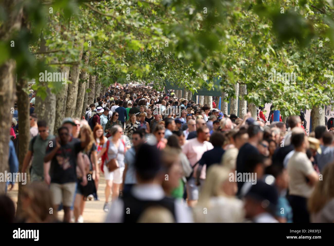 London, UK. 17th June, 2023. Crowds of people beneath the trees along ...