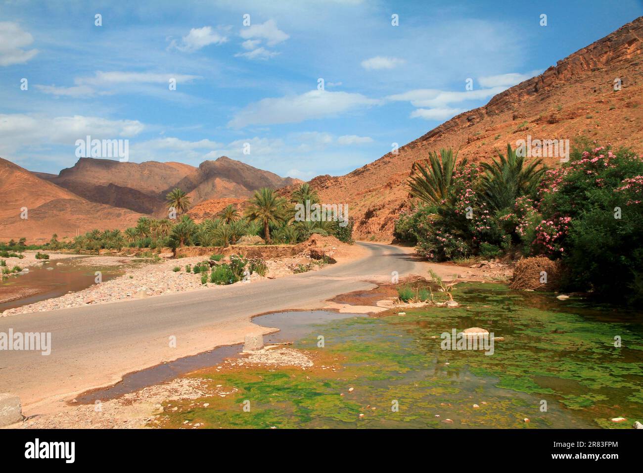 Atlas morocco wadi hi-res stock photography and images - Alamy