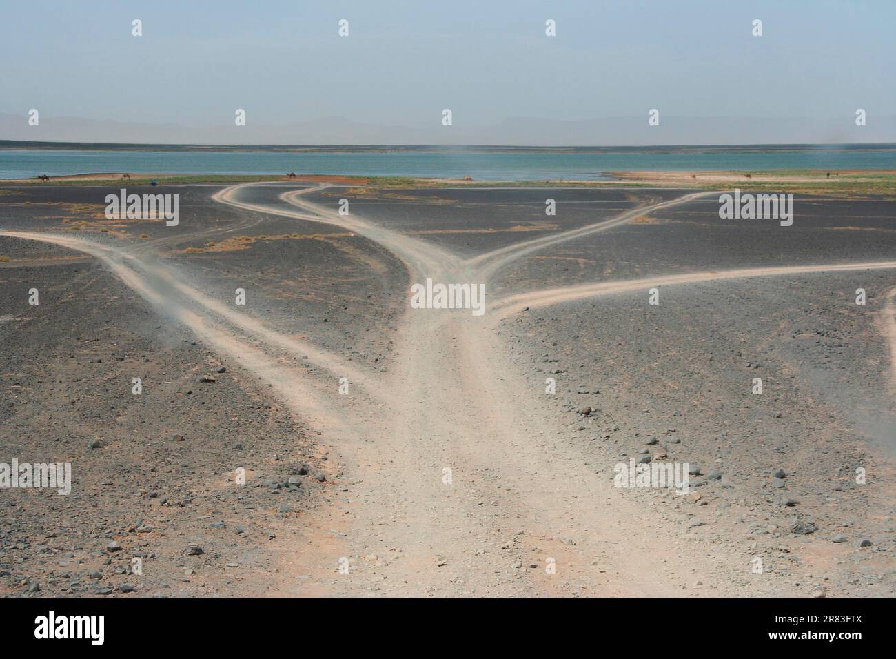 Slopes in the Sahara at the temporary desert lake Dayet Sri near Merzouga (Morocco Stock Photo ...