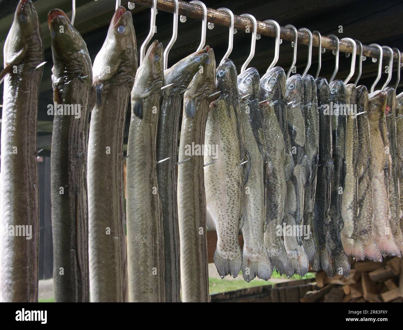 Trout hook hi-res stock photography and images - Alamy
