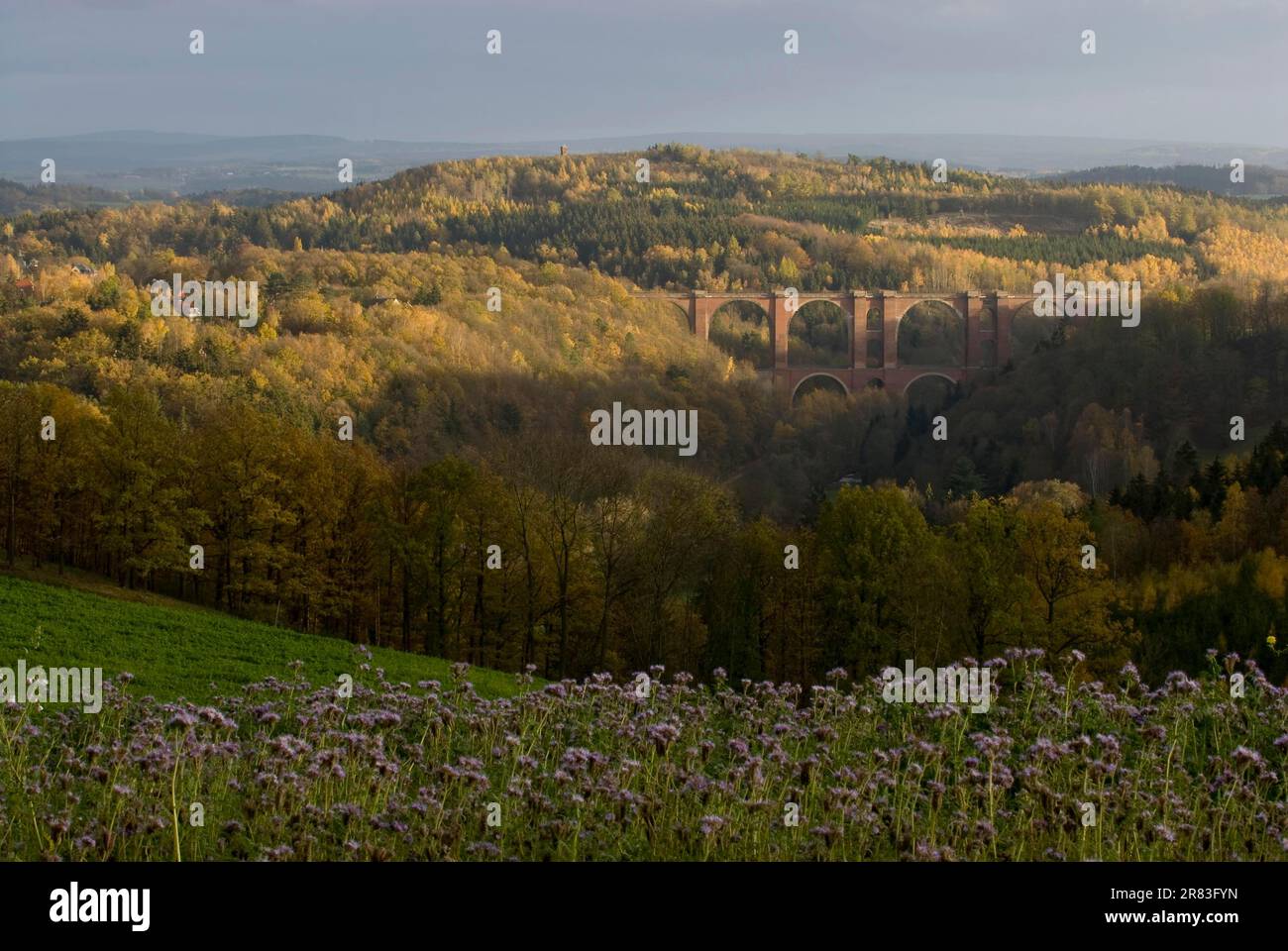 Elster bridge hi-res stock photography and images - Alamy
