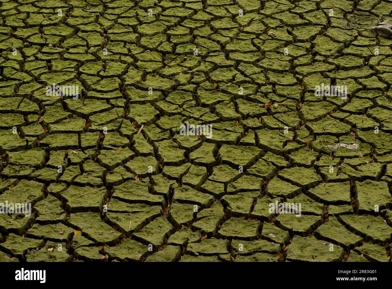 Dried pond sludge Stock Photo - Alamy