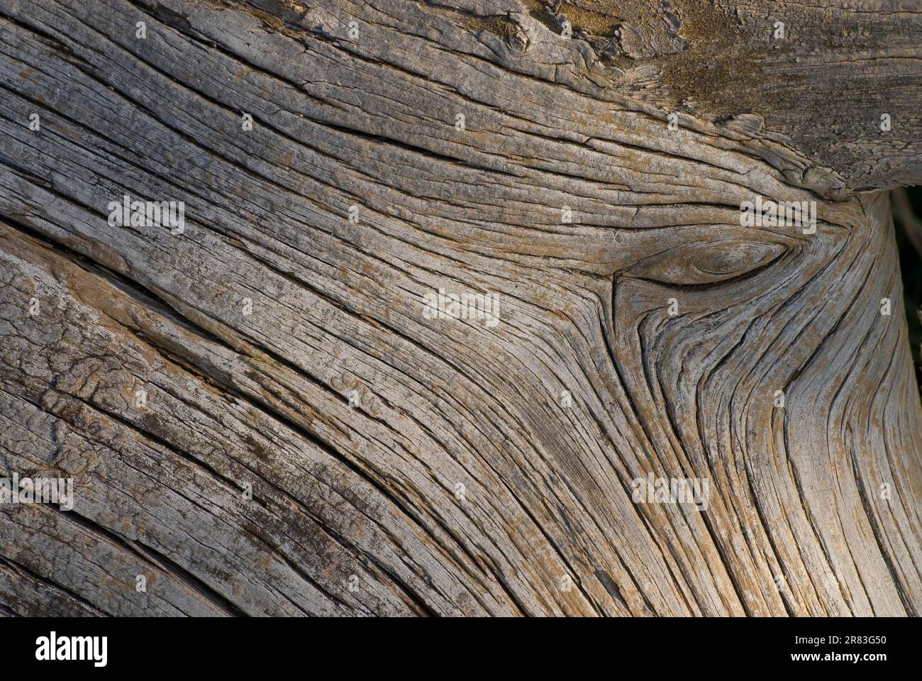 Structure close up hi-res stock photography and images - Alamy